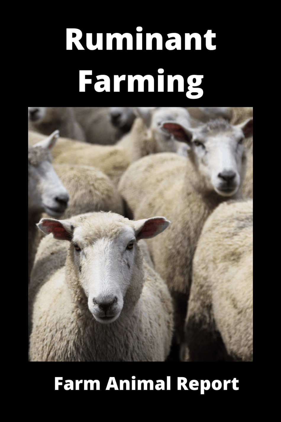 13 Types Ruminant Farming