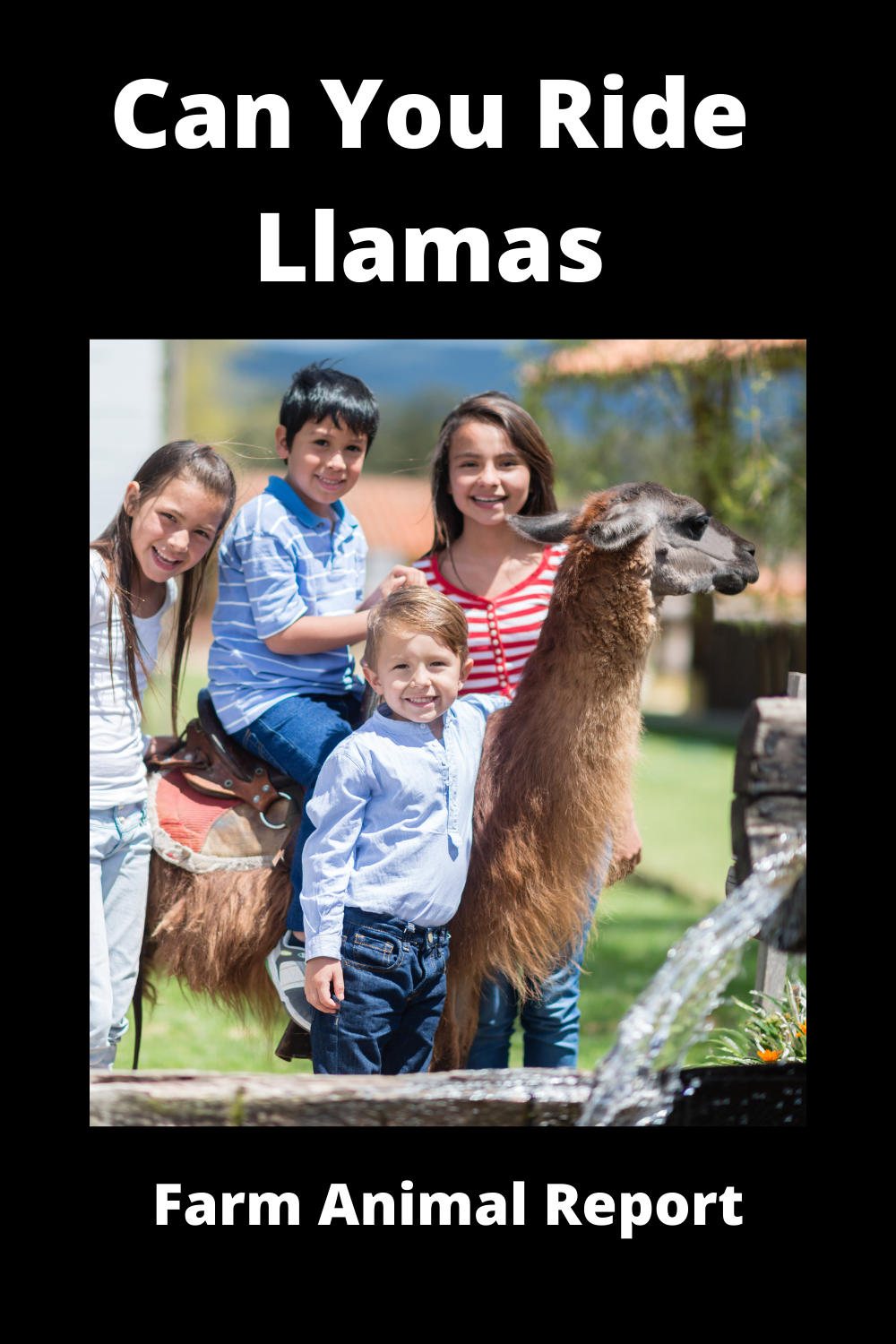 Can You Ride A Llama (2024)