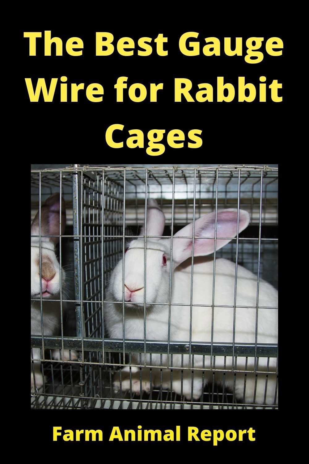 Rabbit Cage Floor Wire (2024) - The Best Gauge