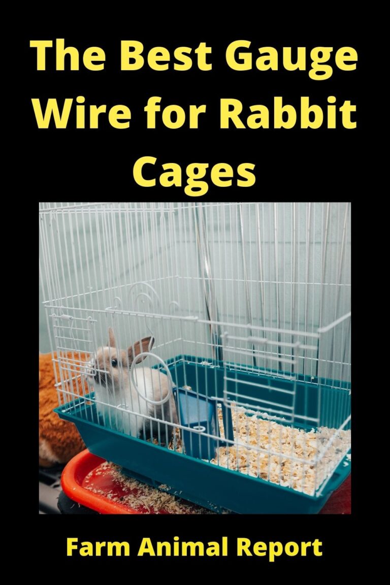 Rabbit Cage Floor Wire (2024) - The Best Gauge